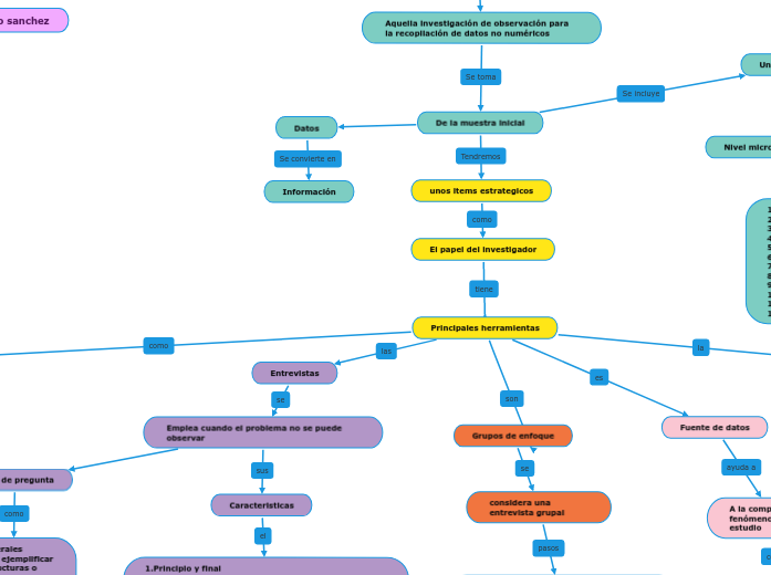 RECOLECCIÓN Y ANÁLISIS DE DATOS CUALITATIV...- Mind Map